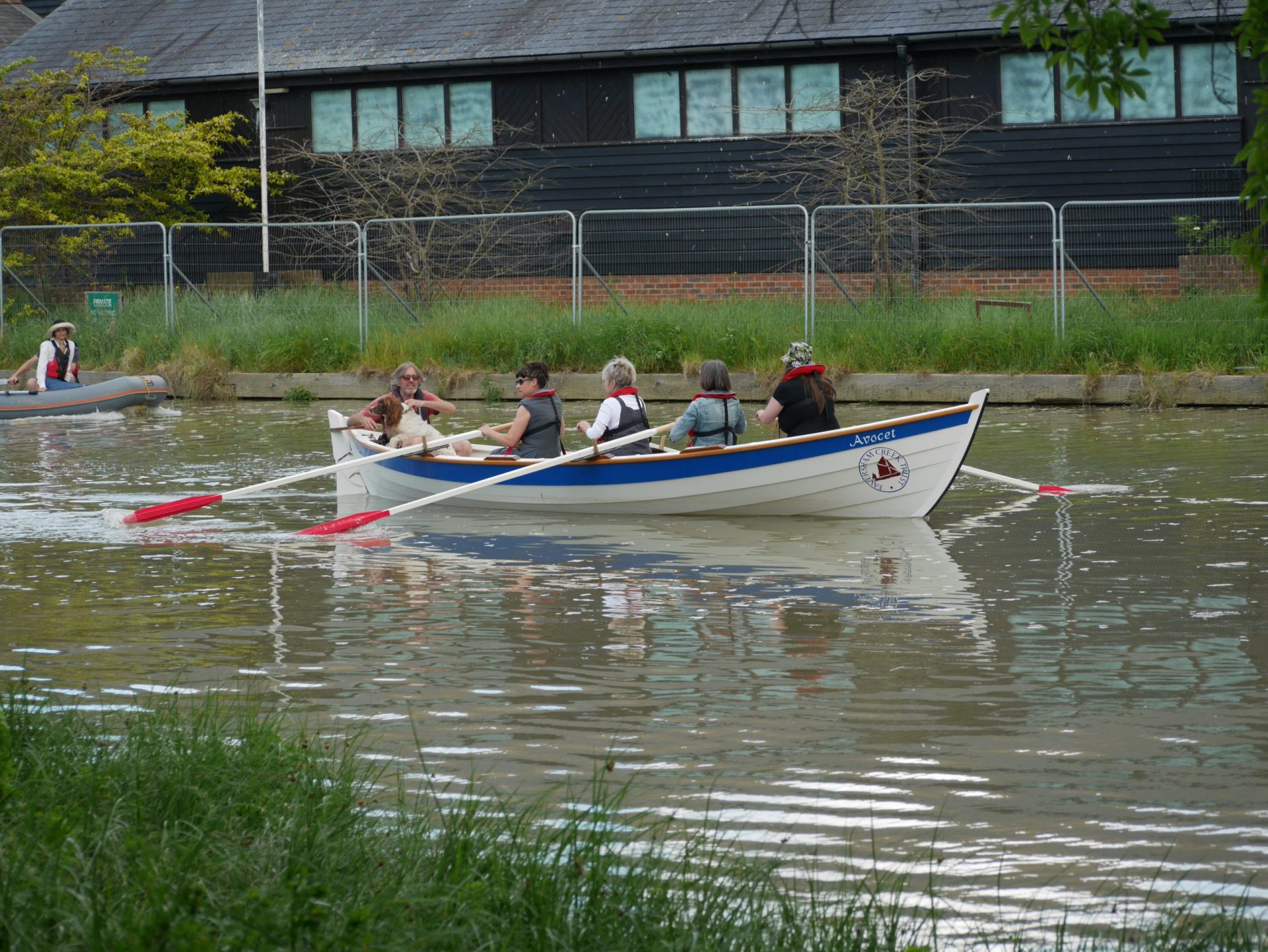The launch of Avocet, Faversham’s first community-built coastal rowing ...